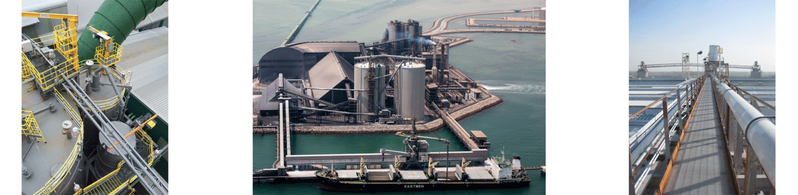 Project Management - Reel alesa